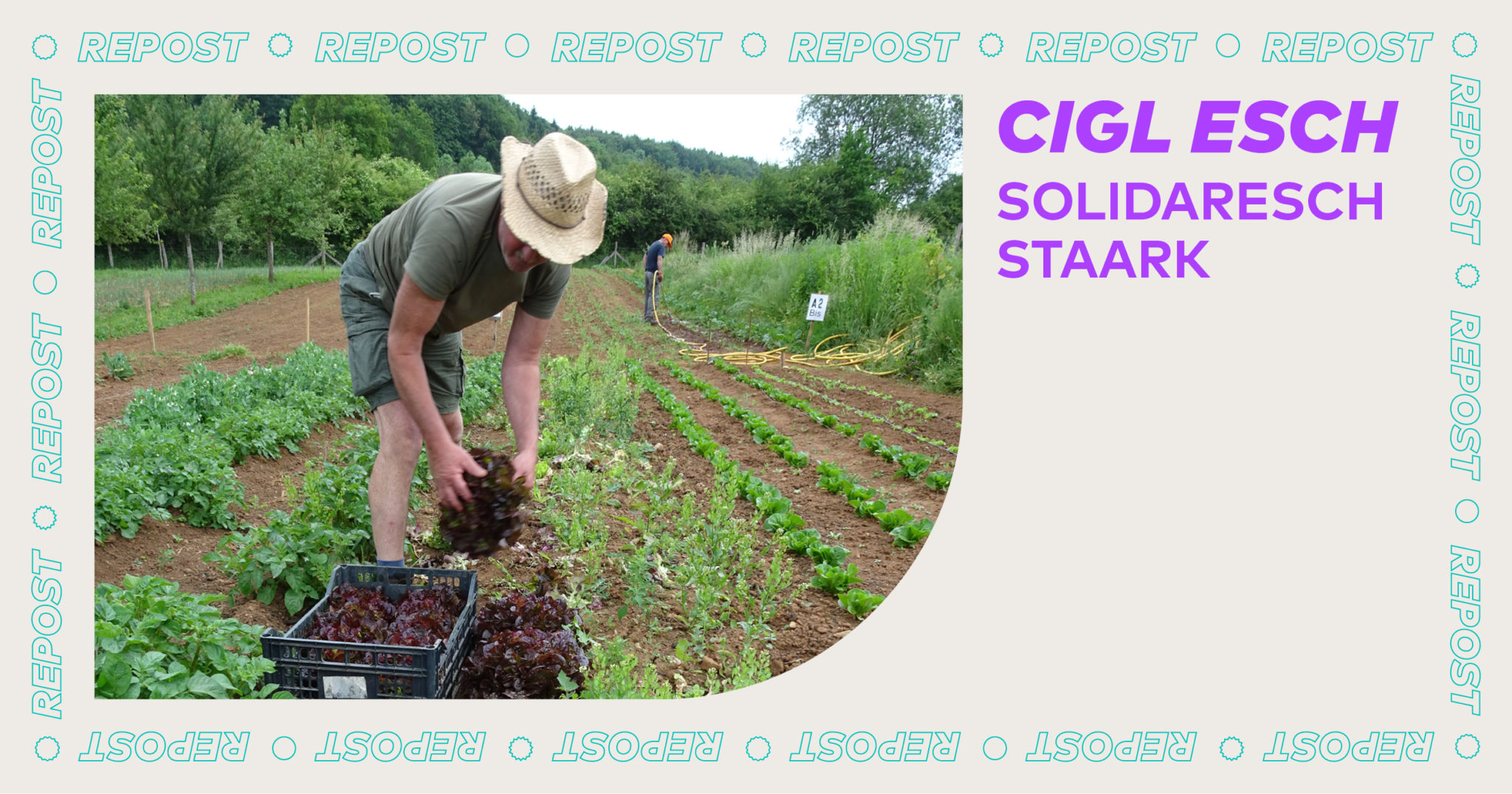 CIGL Esch - Solidaresch staark! - Escher Blog